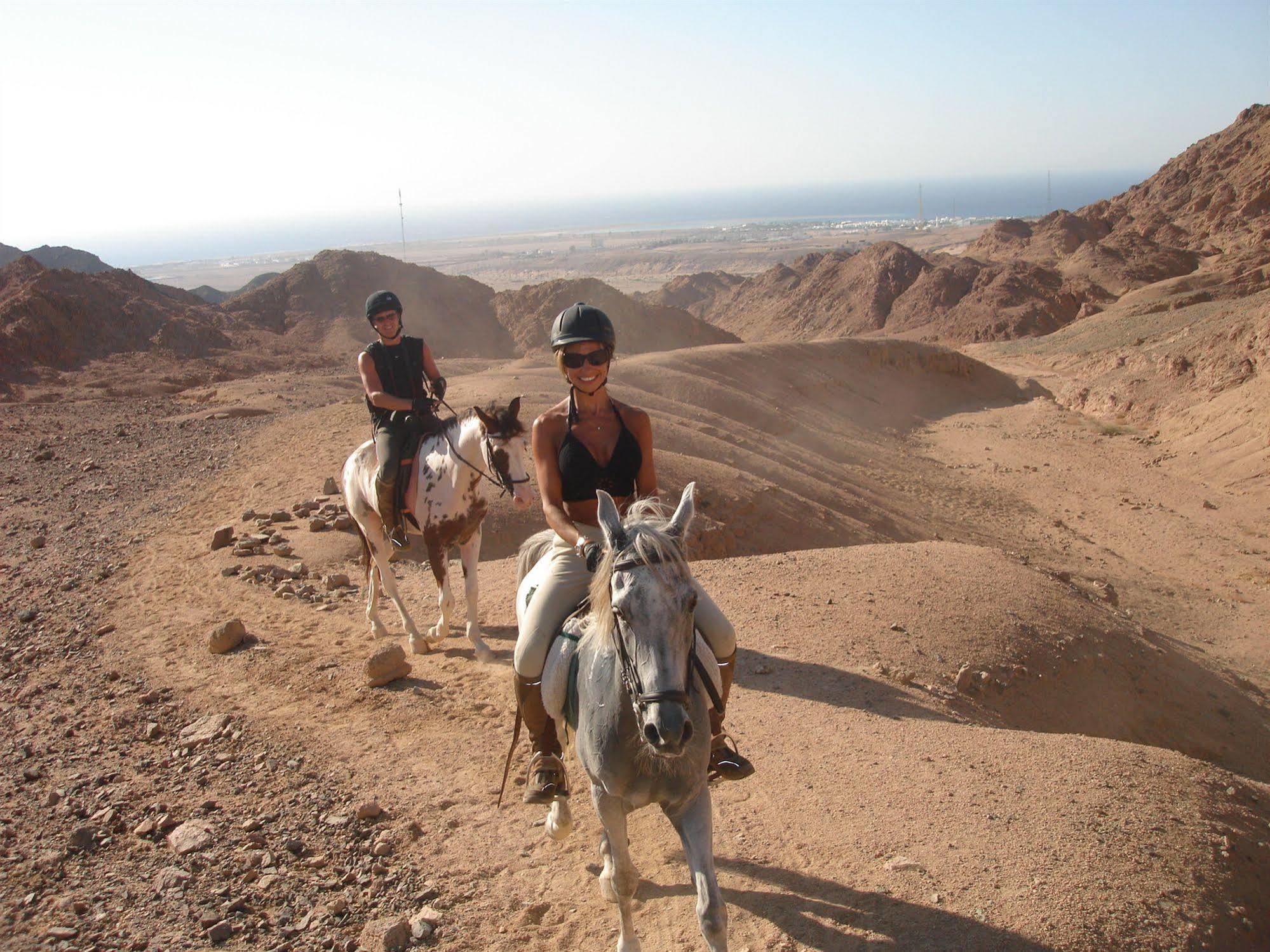BLUE BEACH CLUB DAHAB